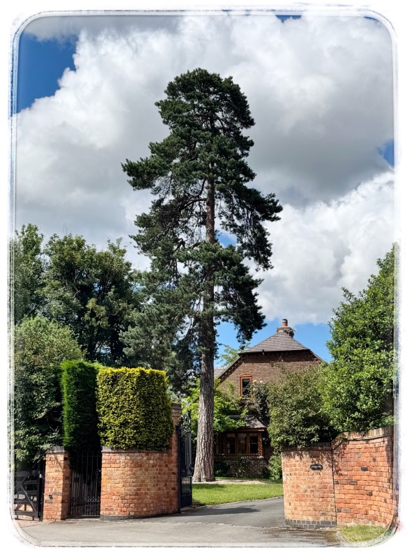 Photo of the day (Stratford-upon-Avon) | Scott's Unfinished Pictures